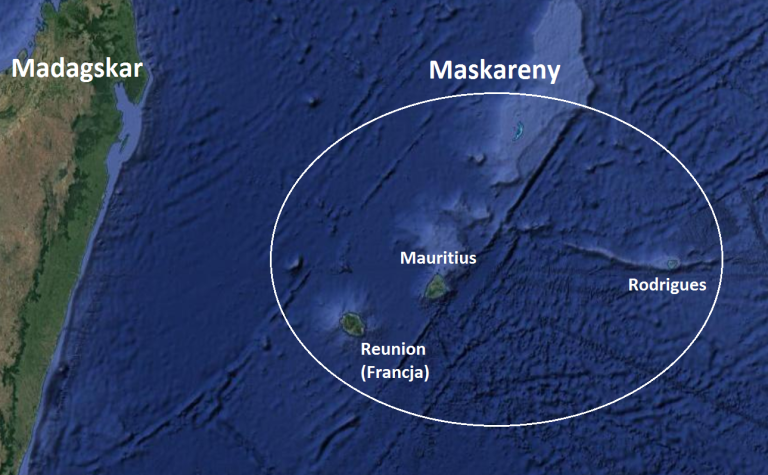 Położenie i warunki naturalne Afryki | Geografia24.pl