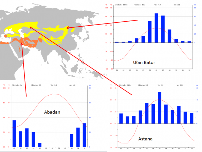 Strefy klimatyczno-roślinno-glebowe Azji | Geografia24.pl