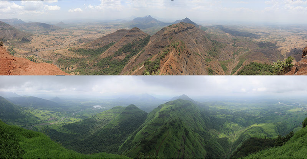 Klimat monsunowy i kultura ryżu w Azji | Geografia24.pl