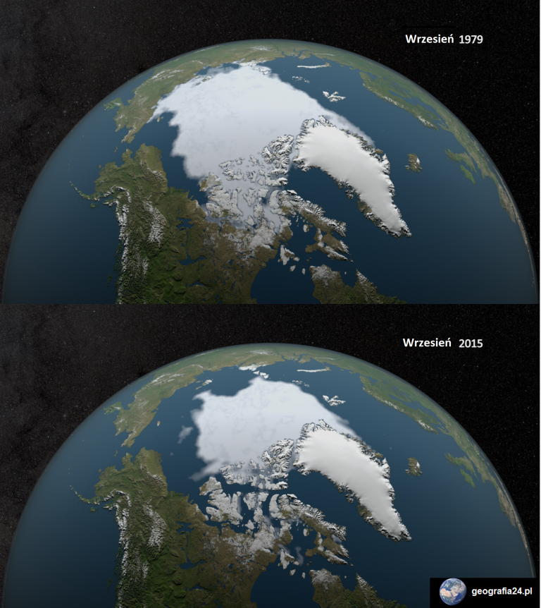 Arktyka i Antarktyka | Geografia24.pl