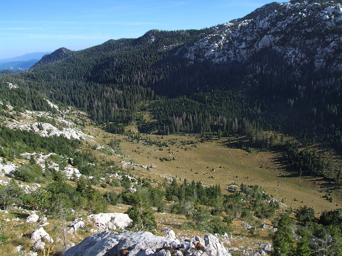 Procesy krasowe | Geografia24.pl