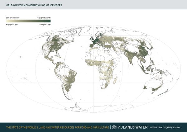Typy rolnictwa | Geografia24.pl