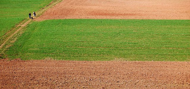 Typy rolnictwa | Geografia24.pl