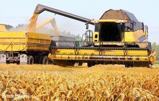 Rolnictwo przemysłowe i rolnictwo ekologiczne | Geografia24.pl