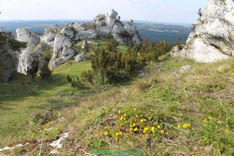 Orogenezy i zlodowacenia a powierzchnia Polski | Geografia24.pl